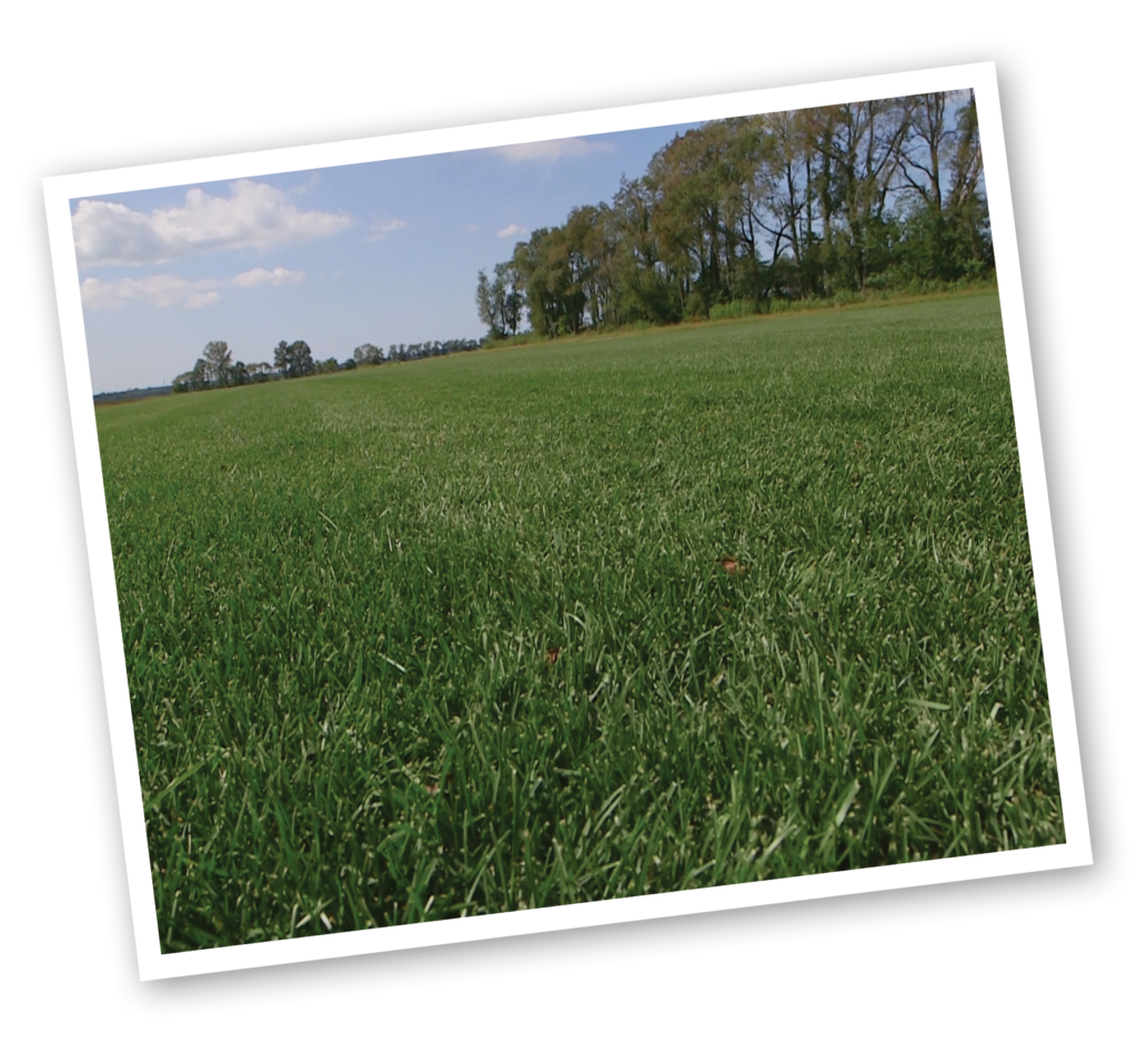 Who We Are – Red Hen Turf Farm