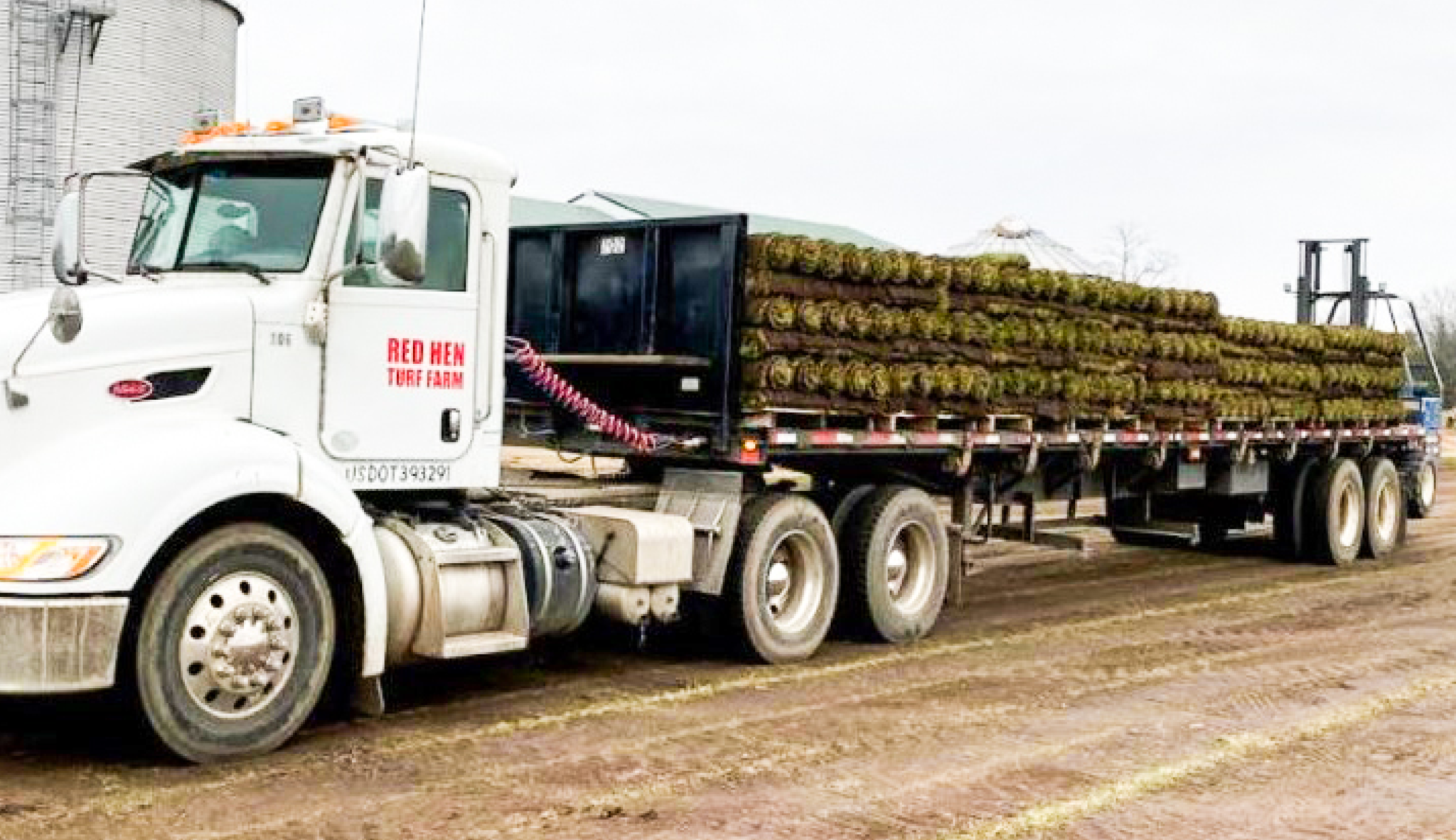Red Hen Turf Farm – The Best Turf on Earth