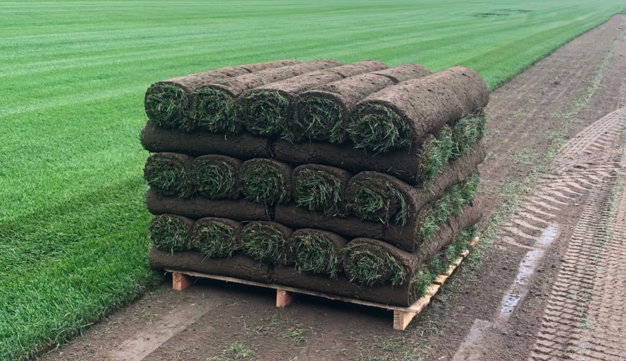 Rolls of Sod Pricing – Red Hen Turf Farm