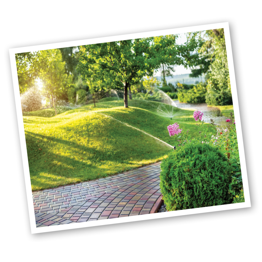 Erosion Control – Red Hen Turf Farm Erosion Control – Red Hen Turf Farm