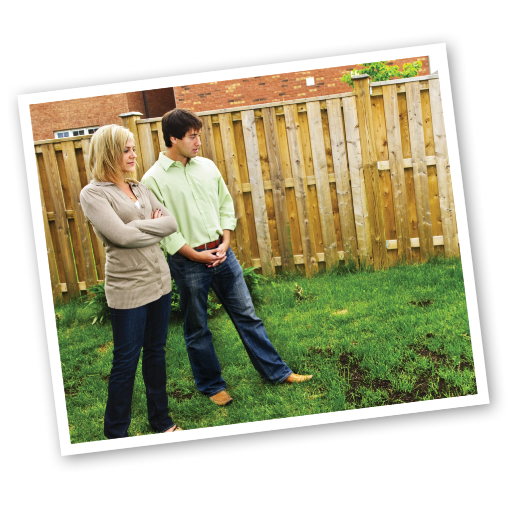 Diagnosing Lawn Problems – Red Hen Turf Farm