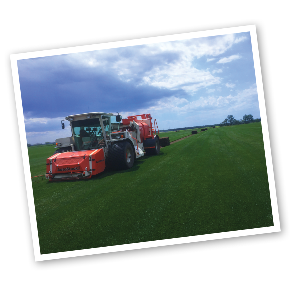 Who’s Your (lawns) Daddy? – Red Hen Turf Farm