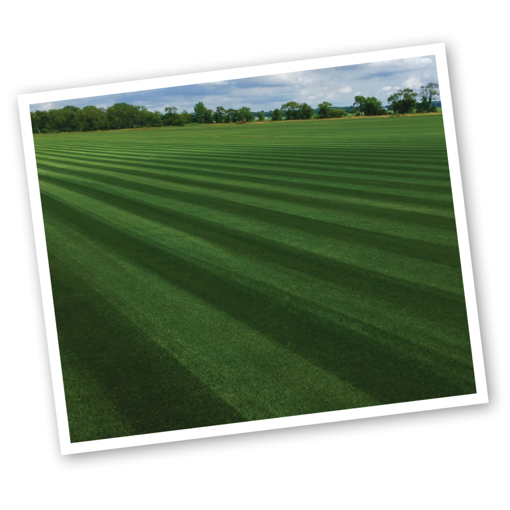 Sod – Red Hen Turf Farm