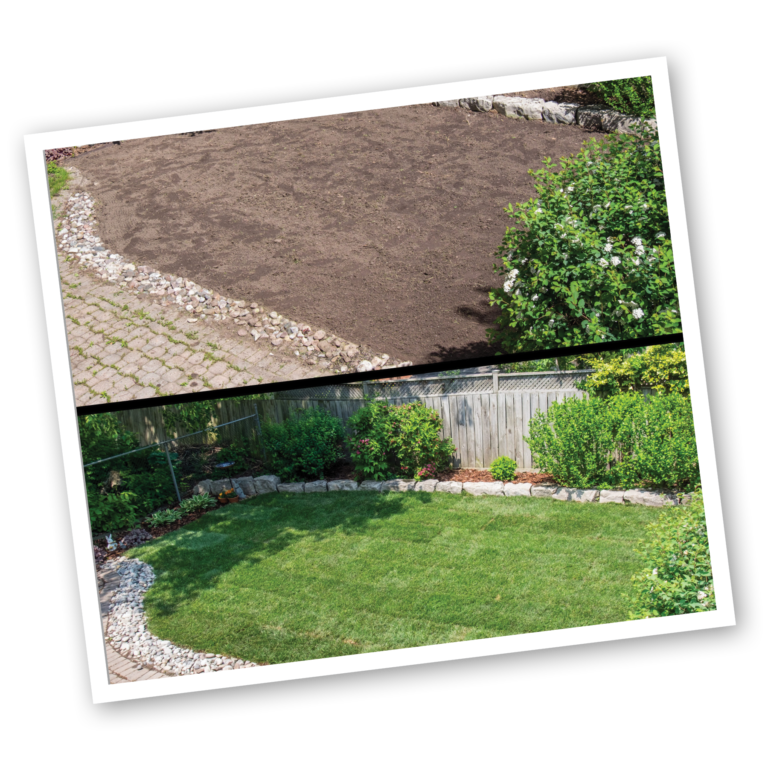 Sod Patching – Red Hen Turf Farm